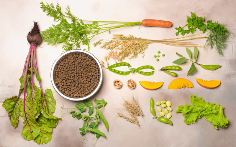 How do I get my dog’s plant-based diet fully balanced?