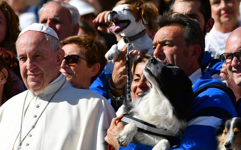 Pope Francis the Patron Saint of Animals | Vegan Vet
